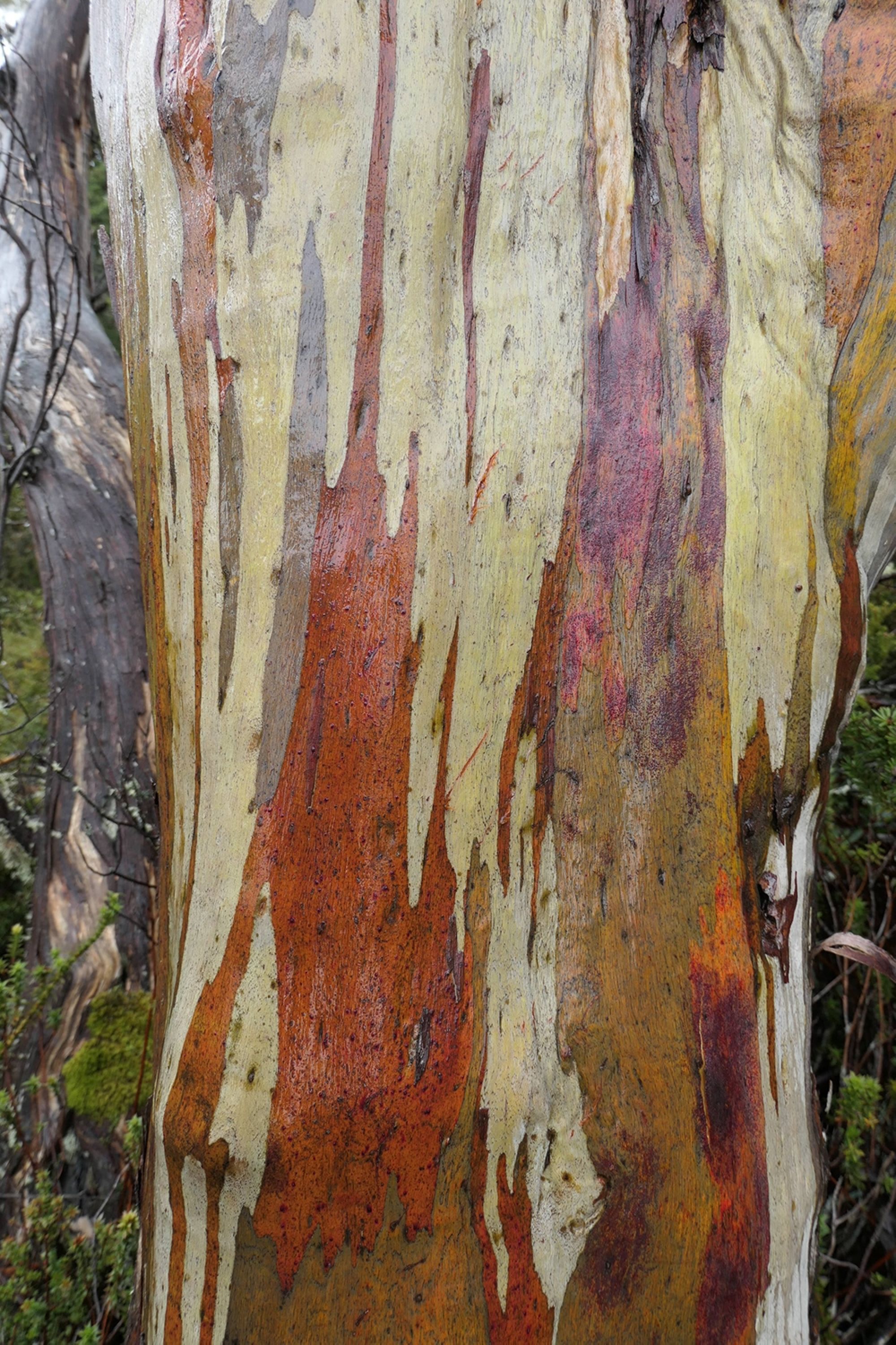 adwilliams | Adrienne Williams